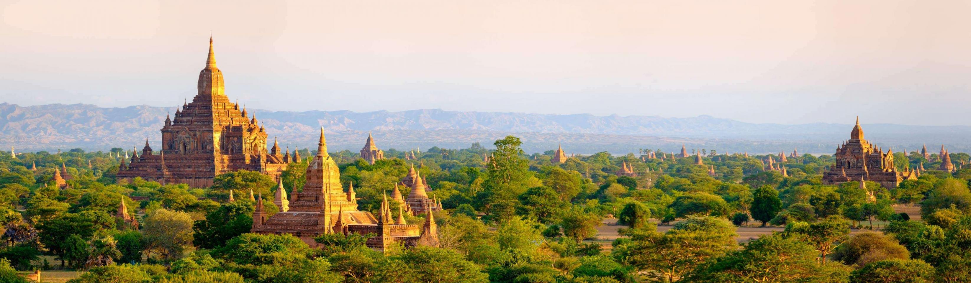 About Us | Intrepid DMC