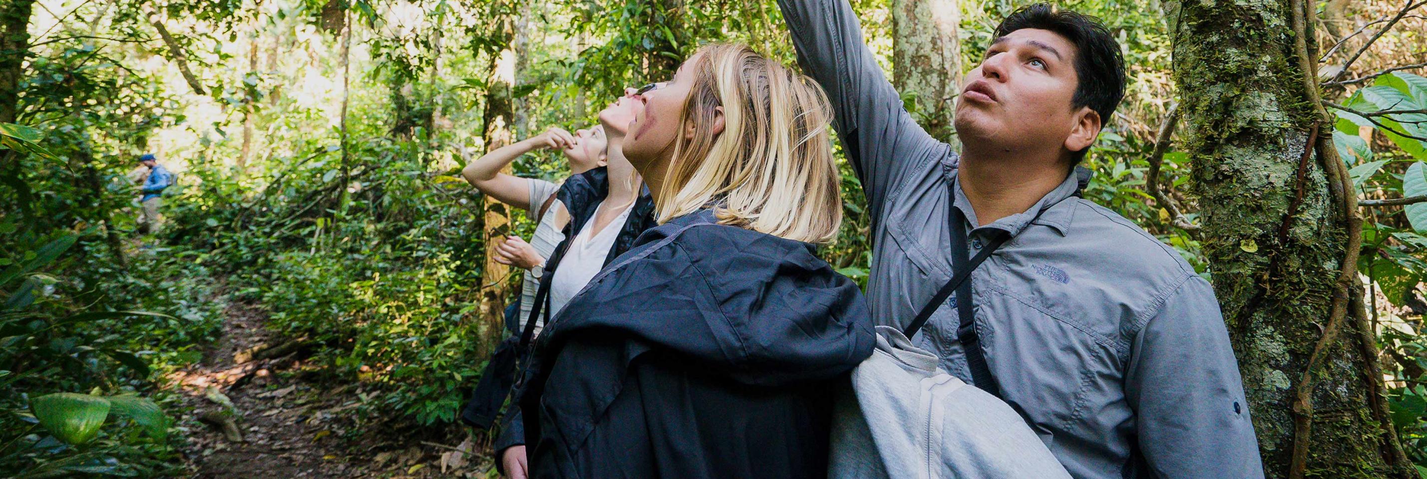 Intrepid DMC achieves Rainforest Alliance certification in Peru | Intrepid DMC